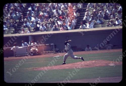 sl64 Original Slide 1962 Dodger Stadium Baseball Game 181a | eBay
