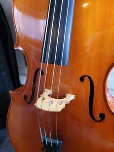 Primavera Cello for sale | eBay
