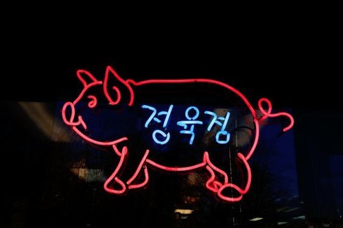 Korean BBQ Pig Neon Sign 20"x16" Lamp Real Glass Handmade Display ...