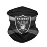 NFL Las Vegas Raiders Fan Mask | eBay