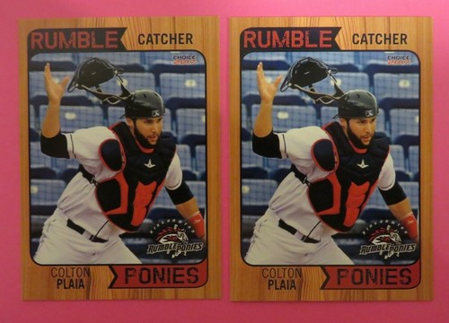 2 - 2017 Choice, Binghamton Rumble Ponies - COLTON PLAIA | eBay