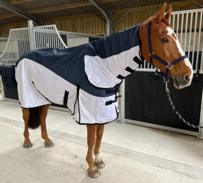 Hy Fly Rug for sale | eBay UK