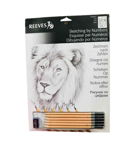 Reeves Sketch by Numbers ~ Lion (9" x 12"; 6 Full Length Pencils) | eBay