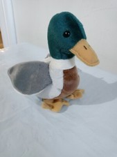 Jake the Mallard Duck - Beanie Babies - Beaniepedia