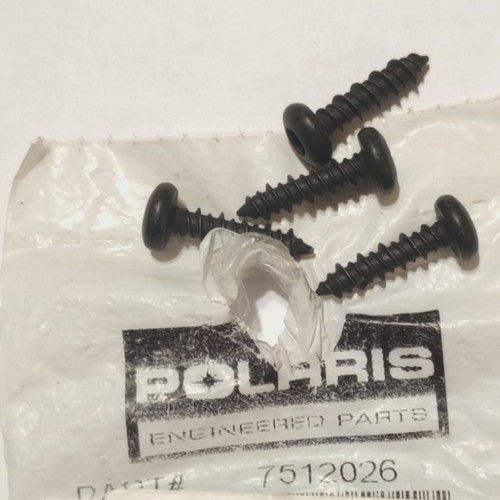 Polaris Screw NOS 7512026 Qty. 4 (L&S-346) | eBay