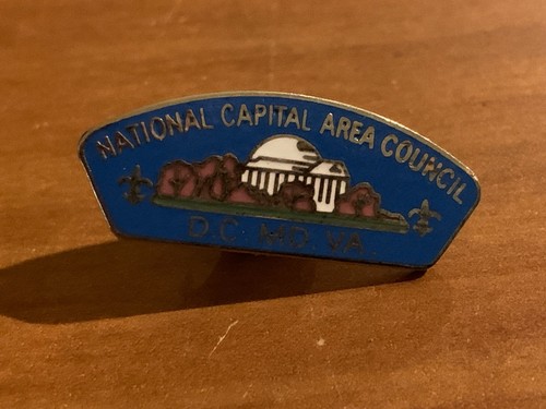 BSA, Vintage National Capital Area Hat or Lapel Pin, CSP Shape | eBay