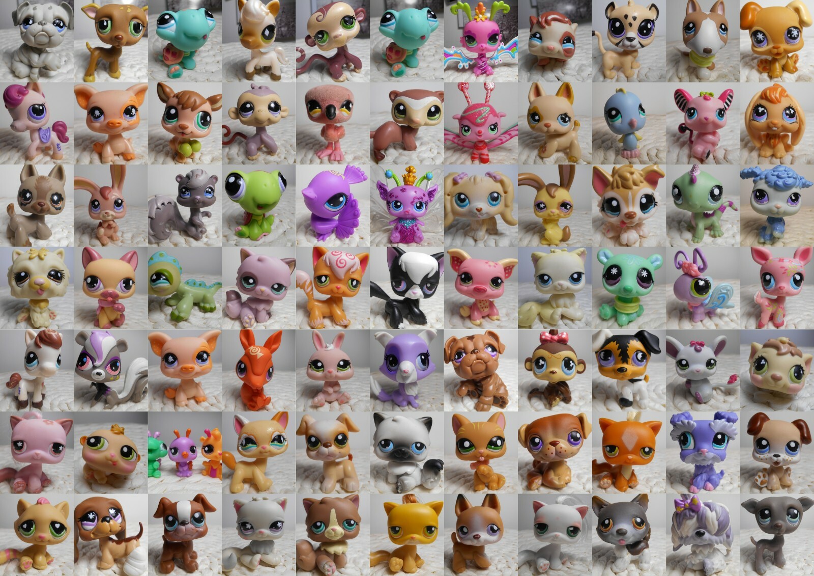 LPS Pet shop Chat chaton Europeen * Petshop Kitty Cat #886 "NEUF ...