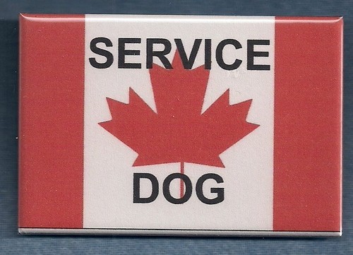 SERVICE DOG (Canada) service dog vest button w/pin back | eBay