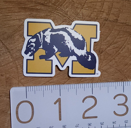 🏈MICHIGAN STICKER NCAA Michigan Decal University of Michigan Wolverines ...