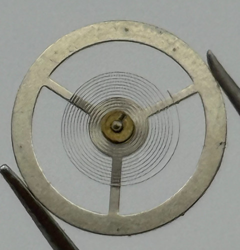 EB 8800 Ruota Del Bilanciere Completo E Spring 12’’’ 1309 Orologio ...