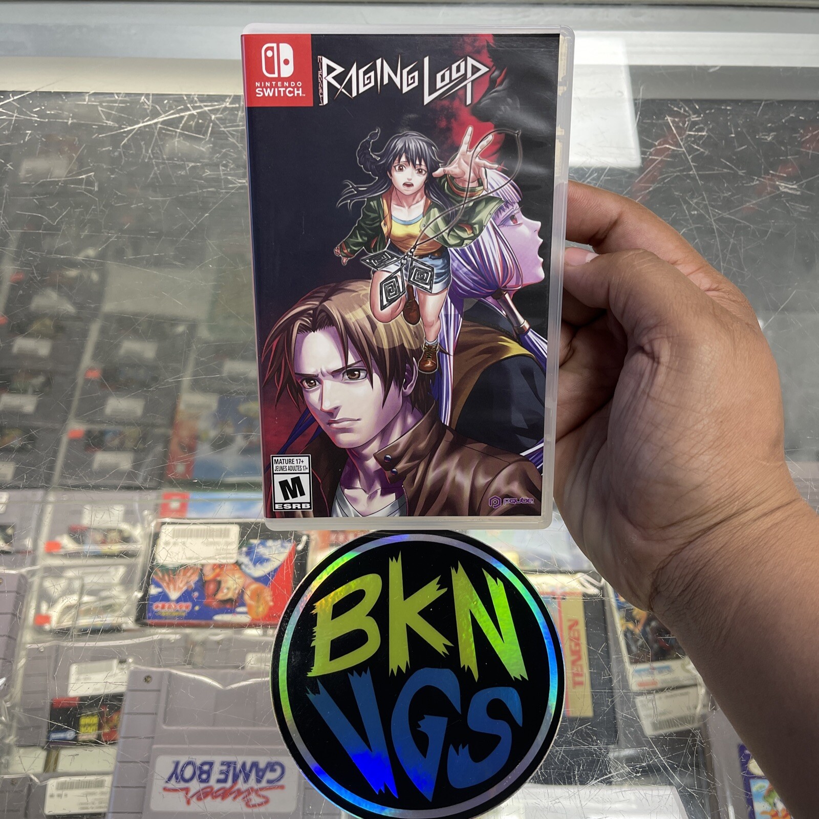 Raging Loop Value - GoCollect (nintendo-switch-raging-loop )