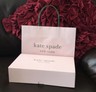 New Kate Spade L Paper Bag Pink 12”x 16” X6” Fits M Purse Or Shoes ...