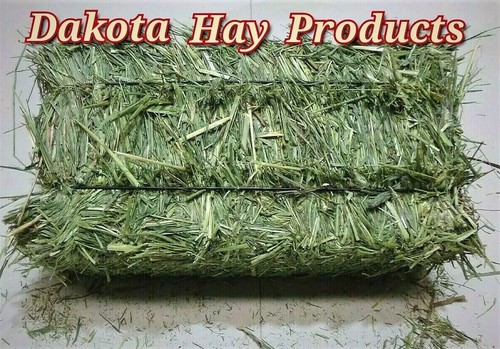 Timothy Hay 2024 First Cut 6 Bales =15 Pounds | eBay