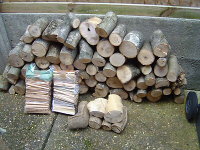 Ash Logs for sale | eBay