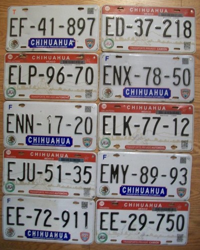 LOT OF 10 CHIHUAHUA, MEXICO LICENSE PLATES - 2 different types | eBay