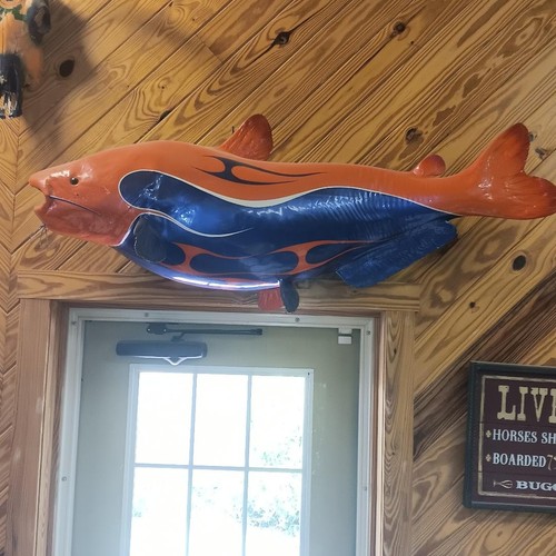 Catfish Wall mount / GATOR FANS !!! | eBay
