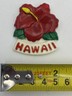 HAWAII ALOHA HIBISCUS 2" x 3" Fridge MAGNET HAWAIIAN FLOWER | eBay