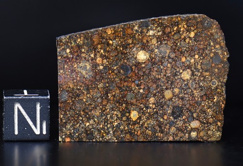 Meteorite NWA 16457 - LL3 Chondrite with STUNNING Chondrules ! polished ...