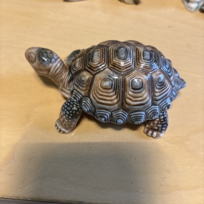 wade tortoise trinket box products for sale | eBay