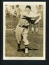 Charlie Fuchs circa 1942 Press Original Photo Detroit Tigers | eBay