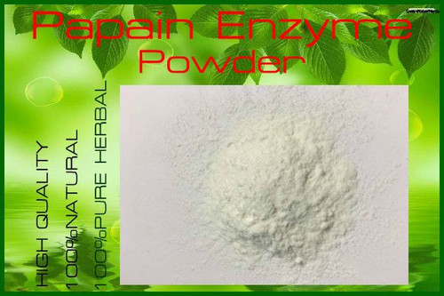 Papain Enzyme Extract (Enzyme From Papaya Fruit Extract) Powder 500 g ...