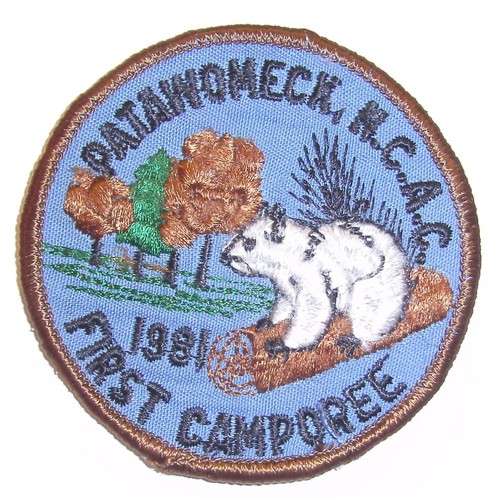 1981 National Capital Area Council Patch MH5 | eBay