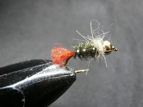 1 DOZEN BEAD HEAD RED TAIL NYMPHS FOR FLY FISHING-BH-18 | eBay Australia