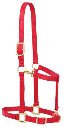 Weaver Leather Original Adj Nylon Draft Halter Medium Red 35-7638-RD | eBay