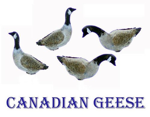 HO Scale GEESE Canadian Geese 4 pack unpainted birds | eBay