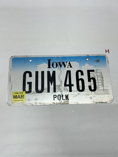 Vintage 2019 Polk Iowa License Plate | eBay