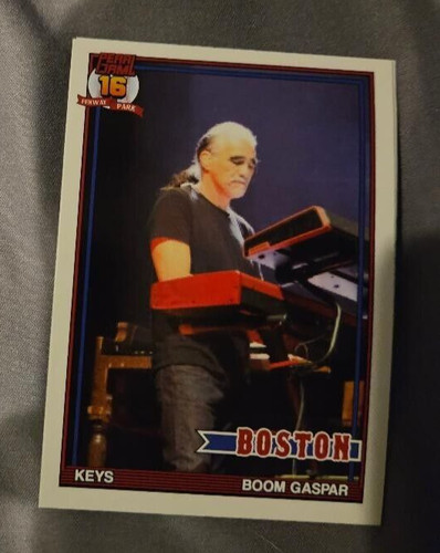 2016 Boom Gaspar Pearl Jam Boston Fenway Park Trading Baseball Card ...