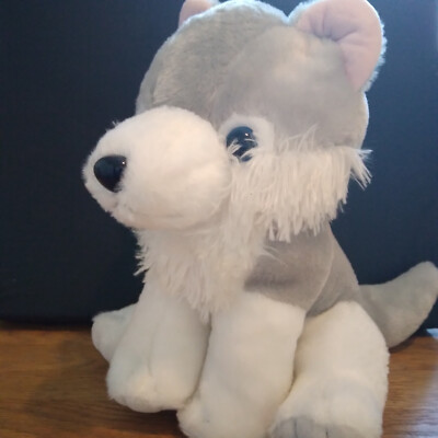 Dog Teddy for sale | eBay