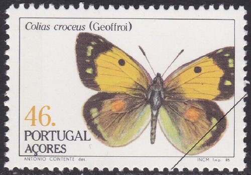 Specimen, Portugal Azores Sc351 Insect, Butterfly | eBay