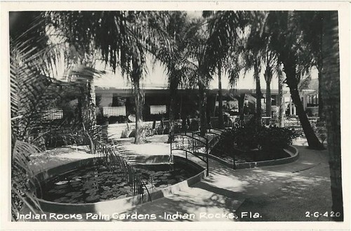 Old Real Photo Postcard - Indian Rocks Palm Gardens - Indian Rocks FL ...
