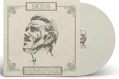 The Skids in Music Records for sale | eBay