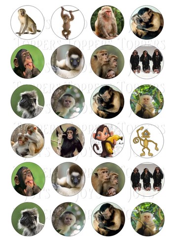 24 MONKEY MONKEYS CUPCAKE TOPPER ICED ICING EDIBLE FAIRY CAKE BUN ...