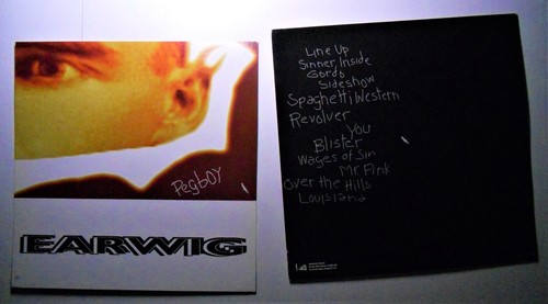 PEGBOY Earwig 2 orig. 1994 1/4 Stick Records promo posters | eBay
