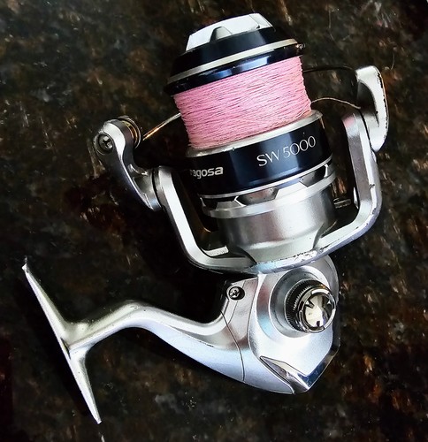 SHIMANO SARAGOSA SWA 5000 SPINNING REEL 6.2:1 GEAR RATIO SRG5000SWAXG ...