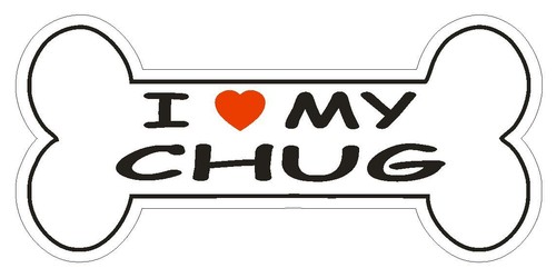 Love My Chug Bumper Sticker or Helmet Sticker D2444 Dog Bone Pet Lover ...