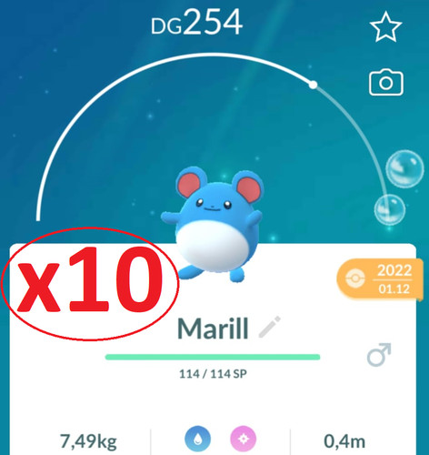 Pokemon Marill x10 GO - Fast Delivery - Chance of Lucky !! | eBay