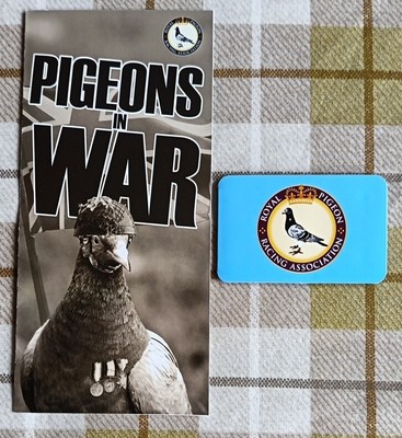 Racing Pigeon for sale | eBay