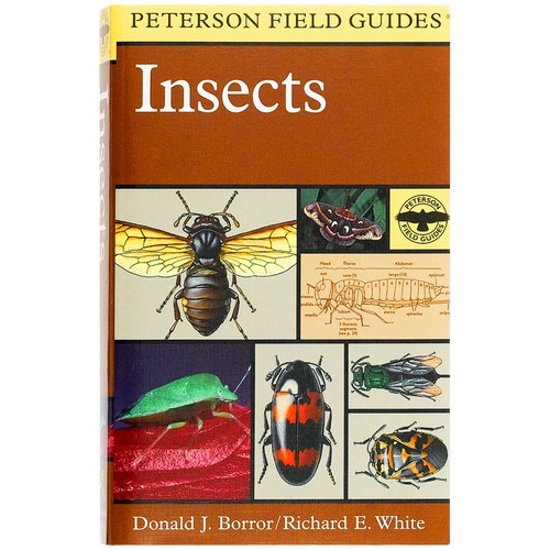 Peterson Field Guides Insects of North America 9780395911709| eBay