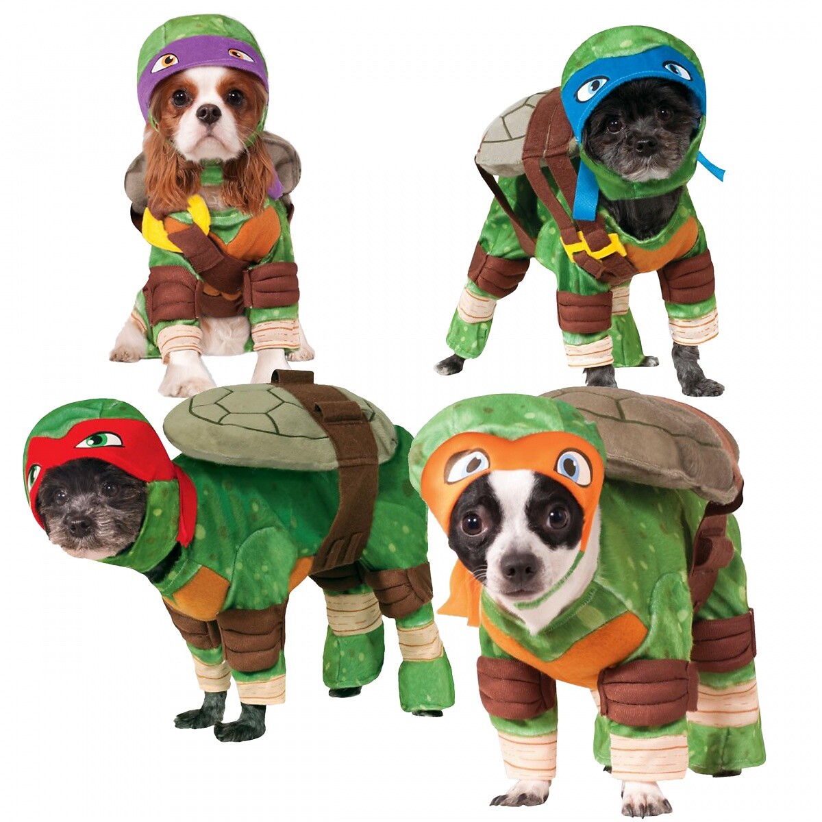 Tmnt Dog Pound Costume