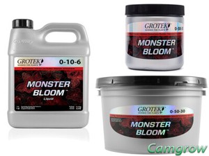 Monster Bloom for sale | eBay