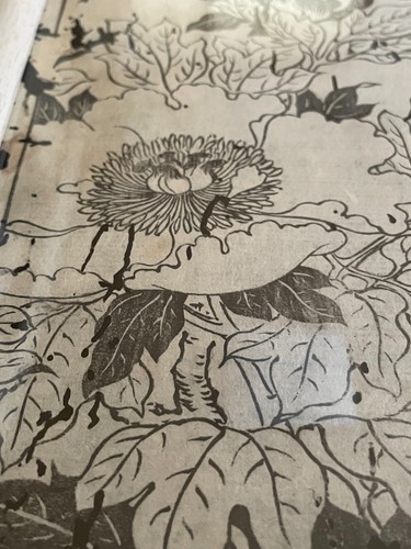 1755 Botany Ukiyo-e Samurai Japan Medicinal Plants Edo Woodblock Print ...