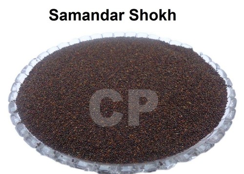 Samandar Shokh Samundra Sonkh Ghav Bel Vidhara Murva Bidhara 100gm (3.5 ...
