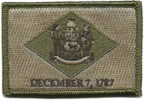 VELCRO® BRAND Fastener Morale HOOK PATCH State of Delaware Multitan 3x2" | eBay