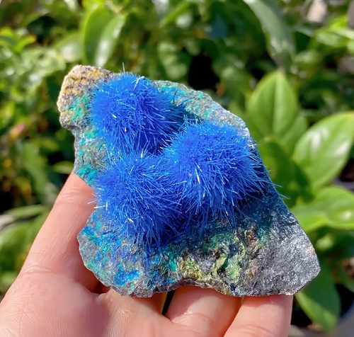 50-80g Blue Dandelion Zeolite Quartz Crystal Healing Cluster Mineral ...