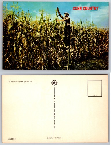 Corn Country Tall Cornfield Farmer Postcard | eBay UK