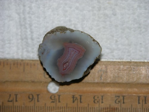 Laguna agate geode cut and polished Mexico 1 x 1 inch G68 | eBay